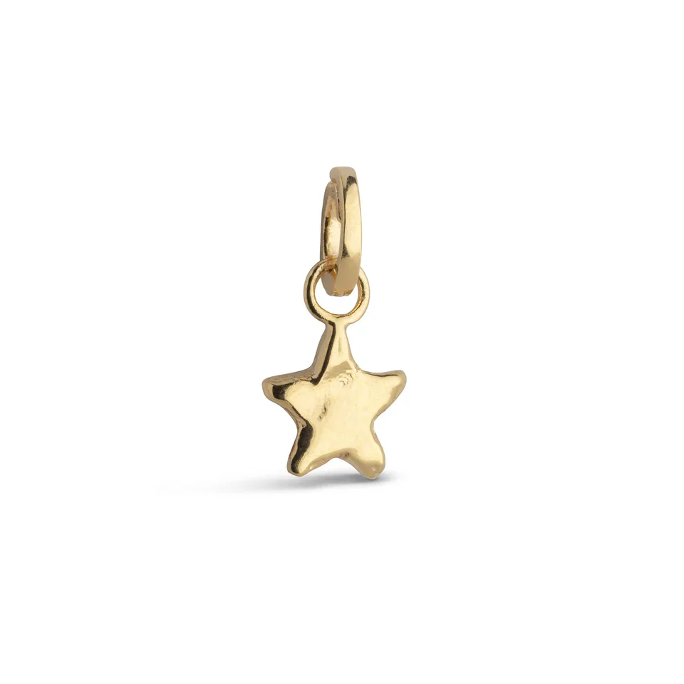 Charm star energy C017G - Accessories - SAMILLA